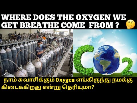 where does the oxygen we get breathe come from? | Oxygen production in ...