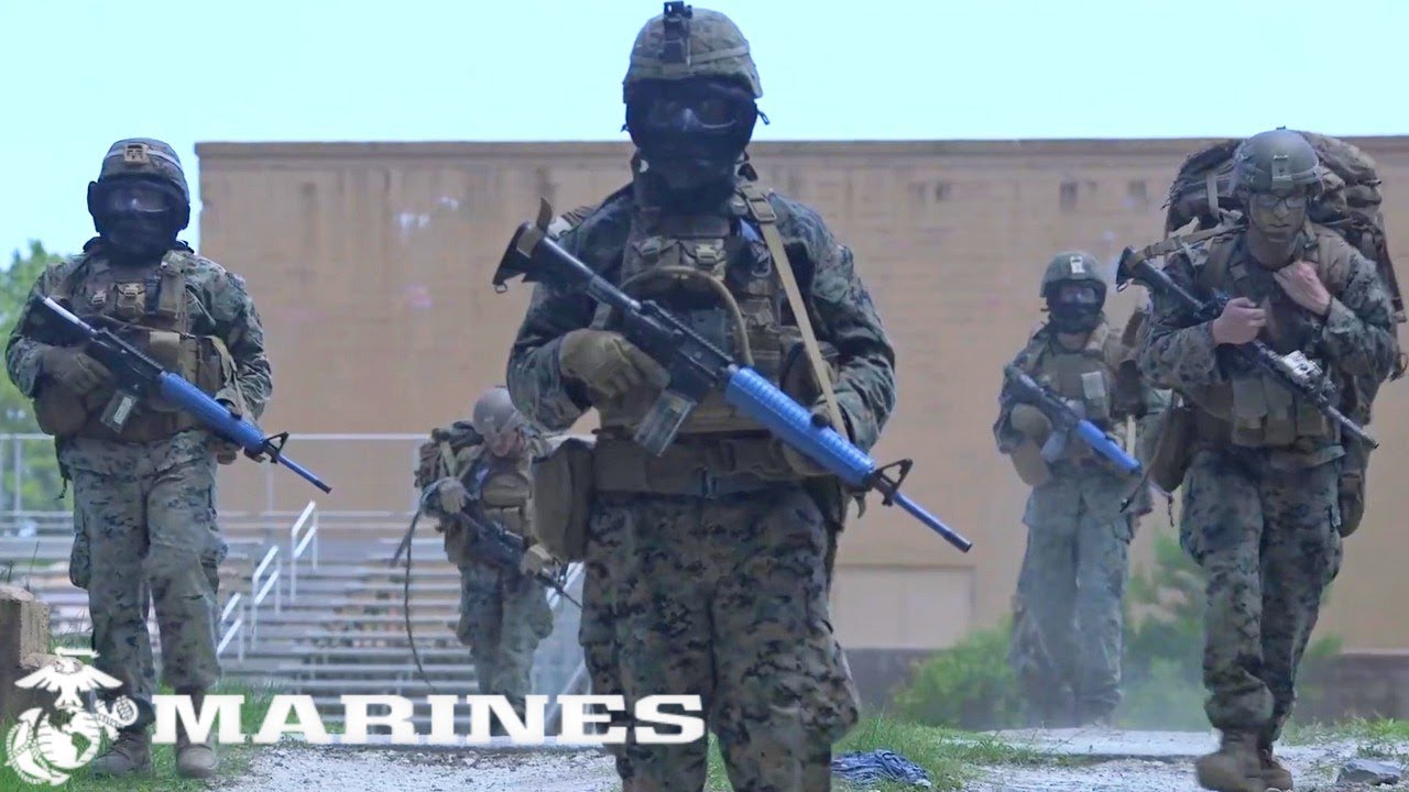 U.S. Marines during live-fire military exercise in North Carolina ...