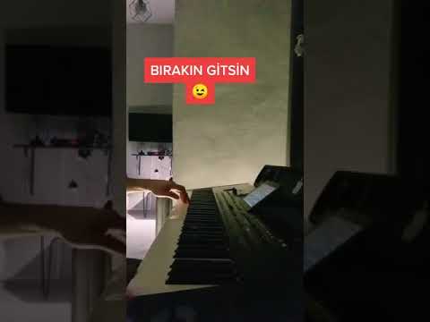 ibrahim tatlises.  Birakin Gitsin Org. Damar musiqi. sintezator musiqi...
