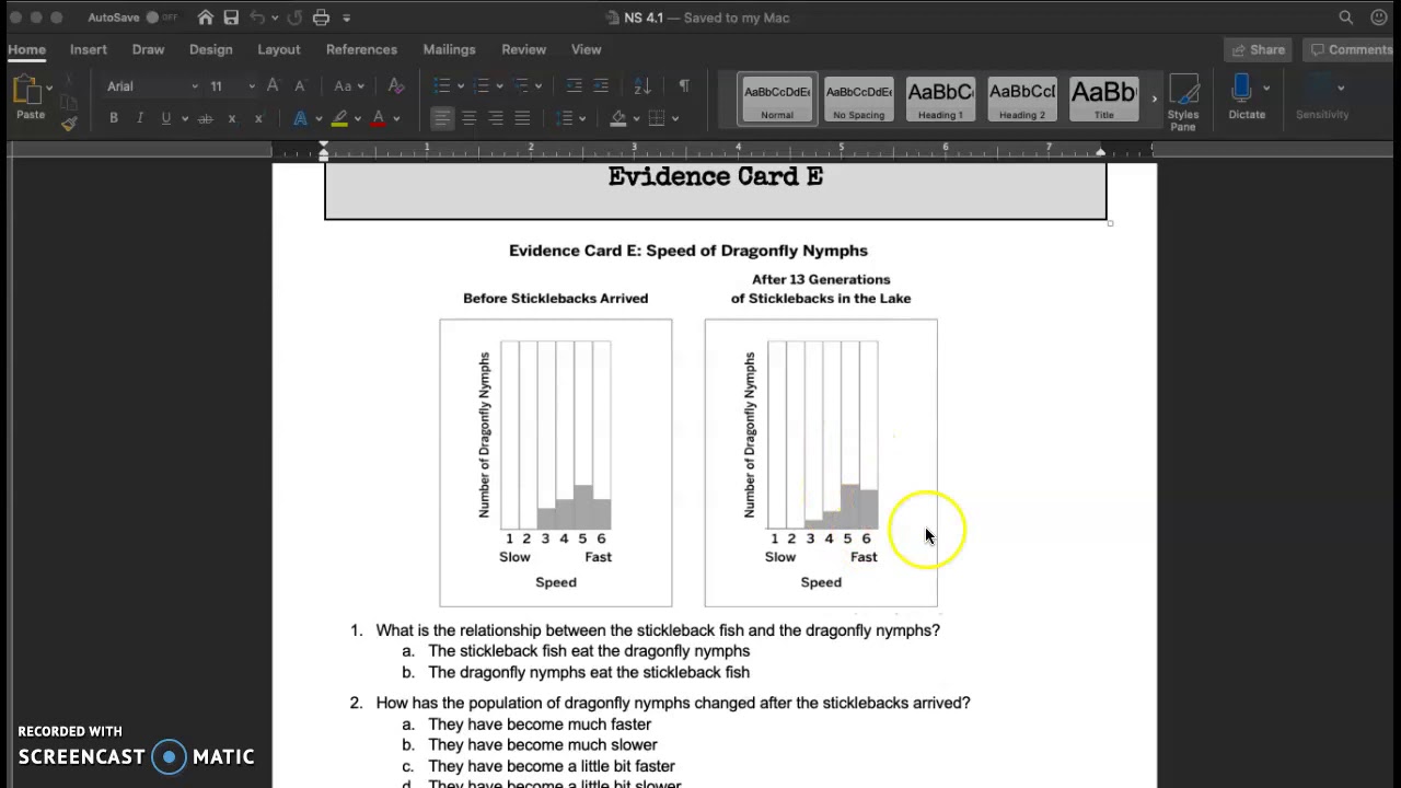 Day 160 Evidence Card E - YouTube