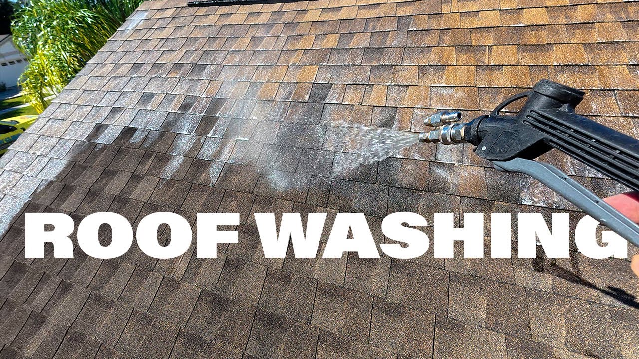 Satisfying Roof Cleaning: Soft washing a shingle roof in Valrico ...