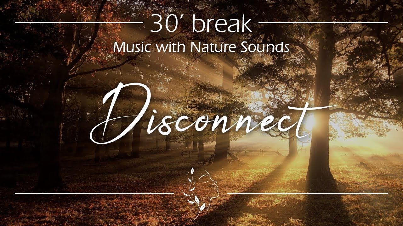 30' of Relaxing Music & Nature Sounds for Meditation, Emotional Healing ...