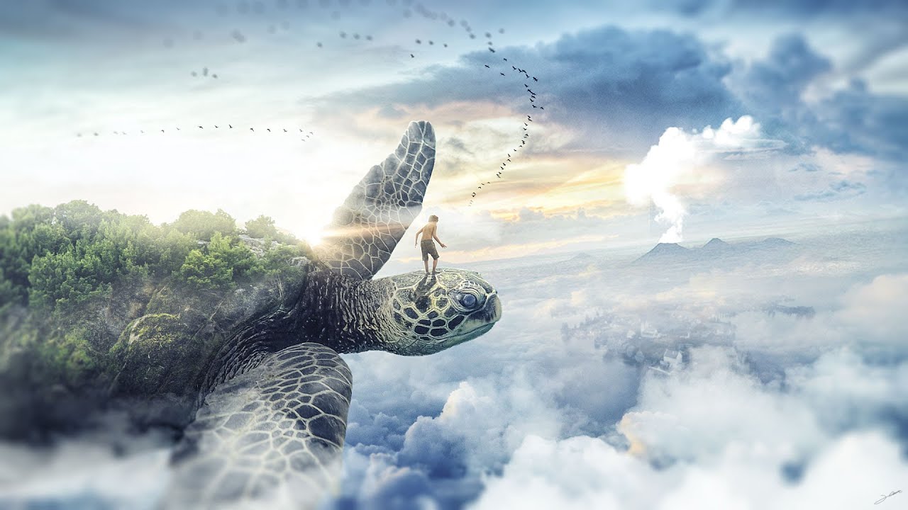Photoshop Manipulation Tutorial Turtle 포토샵 합성 강좌 거북이 - YouTube