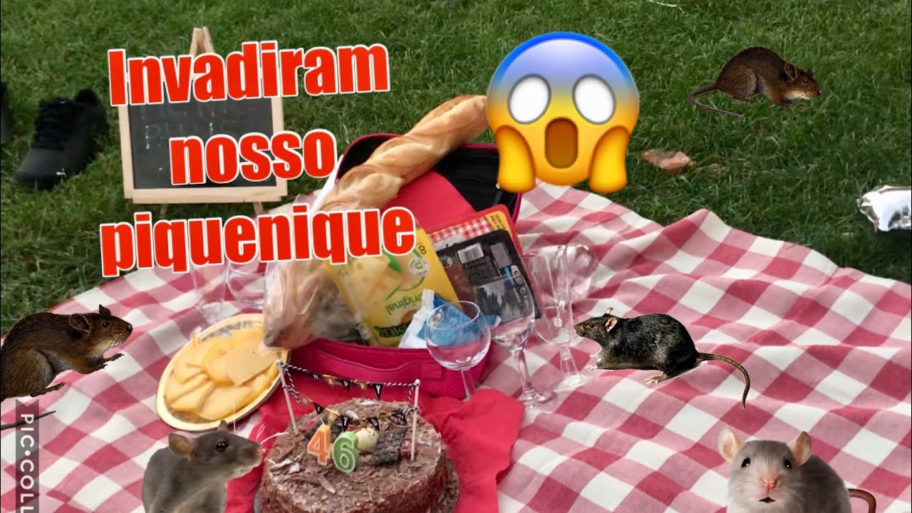 RATOS NA TORRE EIFFEL * 😱🐀* - YouTube