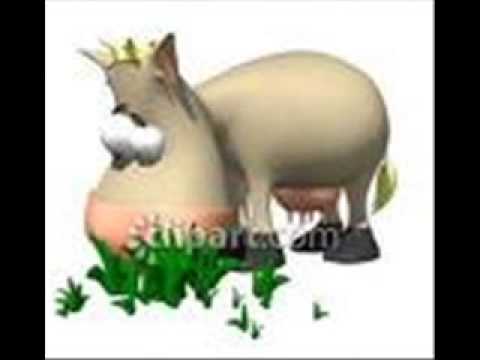 i am cow