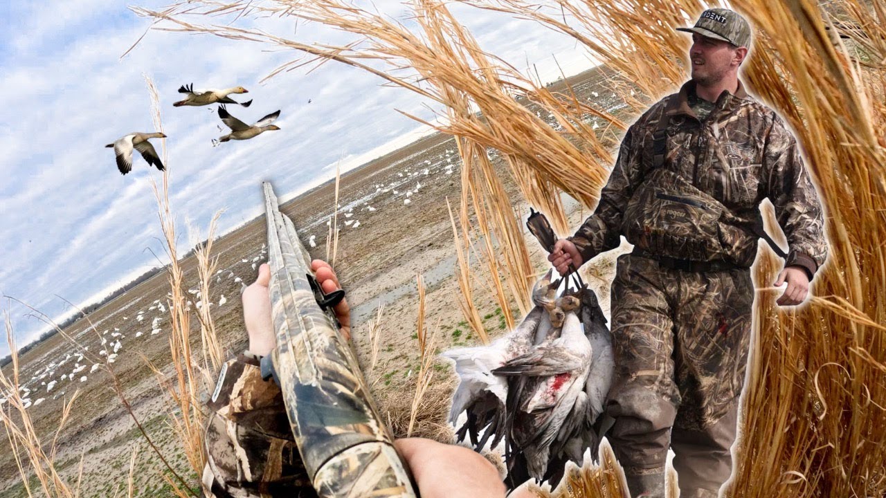 Arkansas SNOW GOOSE HUNTING | BIG RAINOUTS Hunting In A-Frame Blinds ...