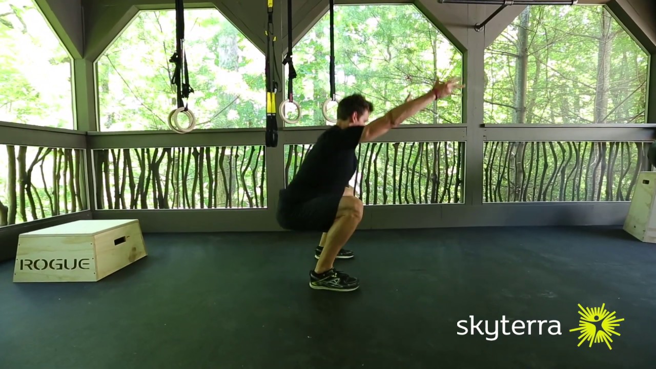 Movement Library: The Plank to Squat | Skyterra at Home