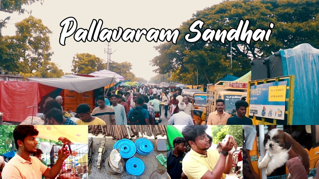 Pallavaram Friday Market | Chennai's Oldest, Largest Market | USED ...