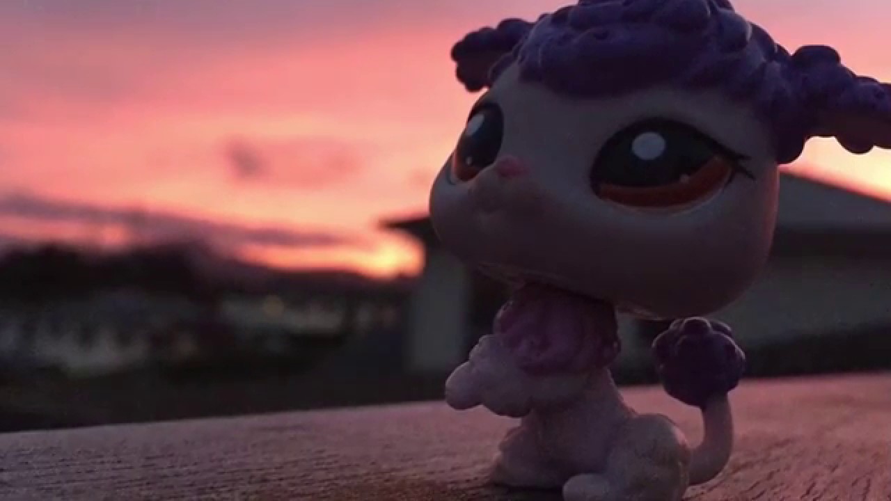 Lps Photography - YouTube