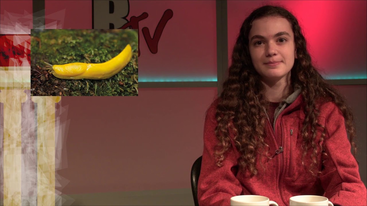 BTV March 10th, 2020 - YouTube