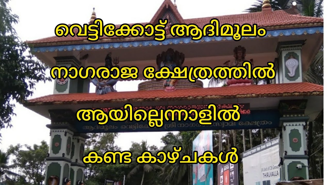 വെട്ടിക്കോട്ട് ക്ഷേത്രം ആയില്യം നാളിൽ കാഴ്ചകൾ കണ്ട ഒരു യാത്ര#kerala # ...