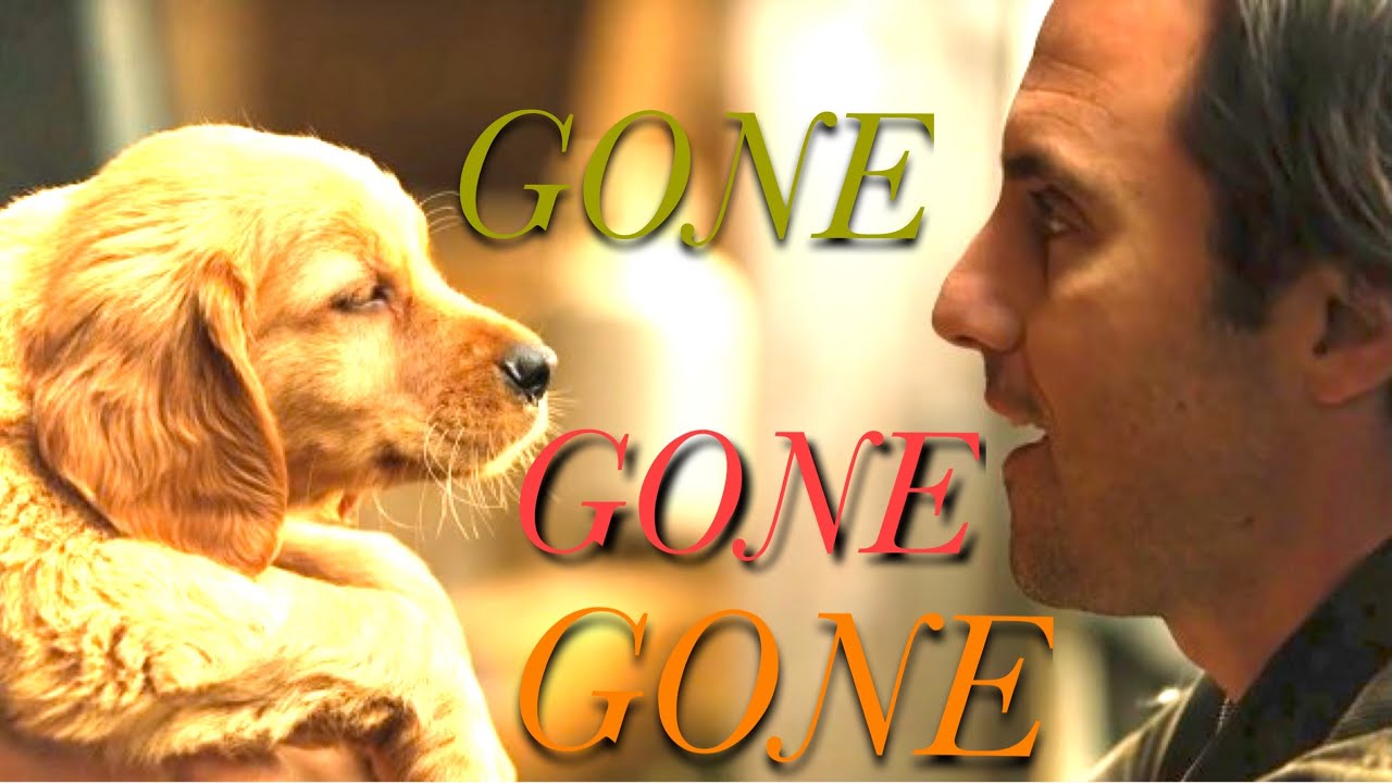 Multifandom | Gone, Gone, Gone - Phillip Phillips [Music Video] - YouTube