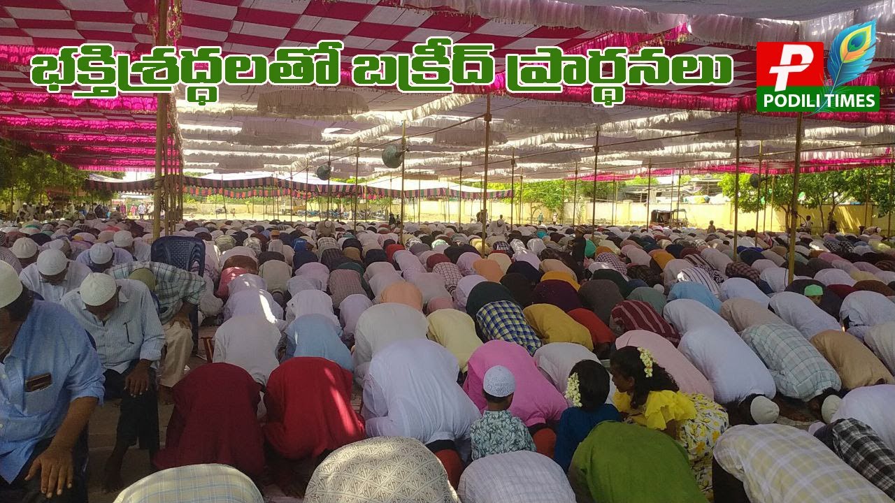 పొదిలి లో భక్తిశ్రద్ధలతో బక్రీద్ పండుగ-2024//Bakrid festival with ...