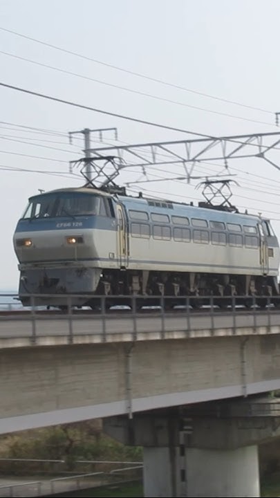 EF66-126号機牽引の貨物列車！ #鉄道 #ef66100番台 #ef66サメ #jr東海 #東海道本線 #貨物列車 #貨物列車通過 - YouTube