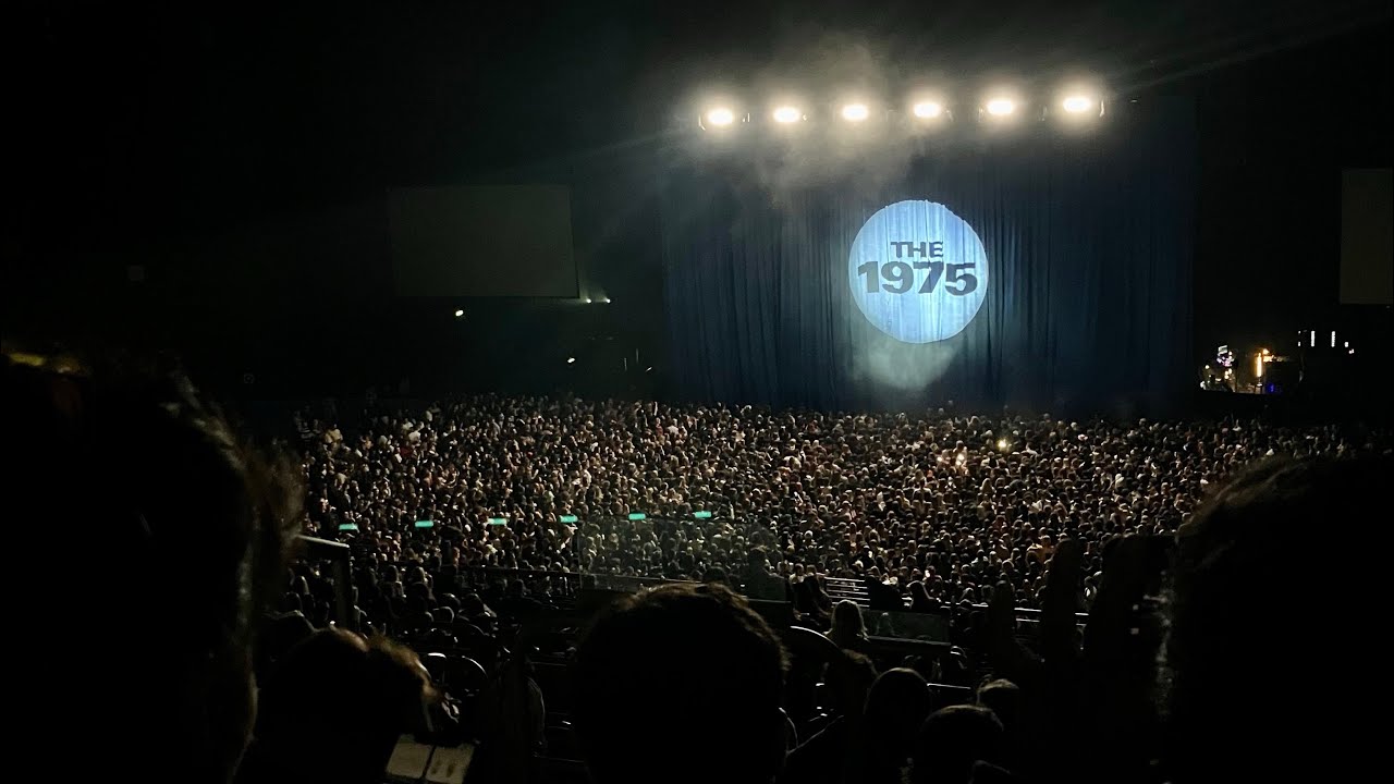 The 1975 Concert Crowd