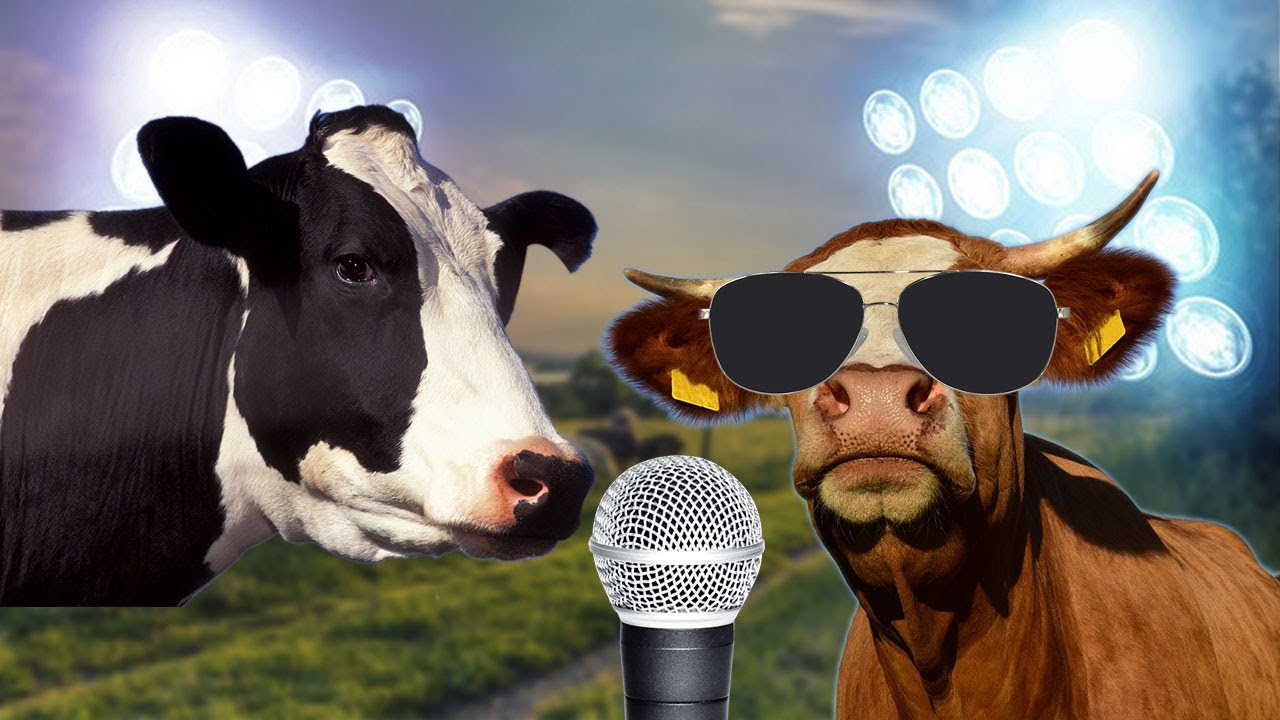 Funny cow dance 4 | Cow song & Cow video - YouTube