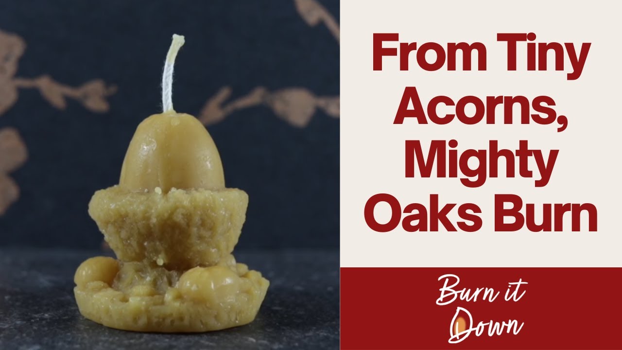 From tiny acorns, mighty oaks burn - The whole damn burn - YouTube