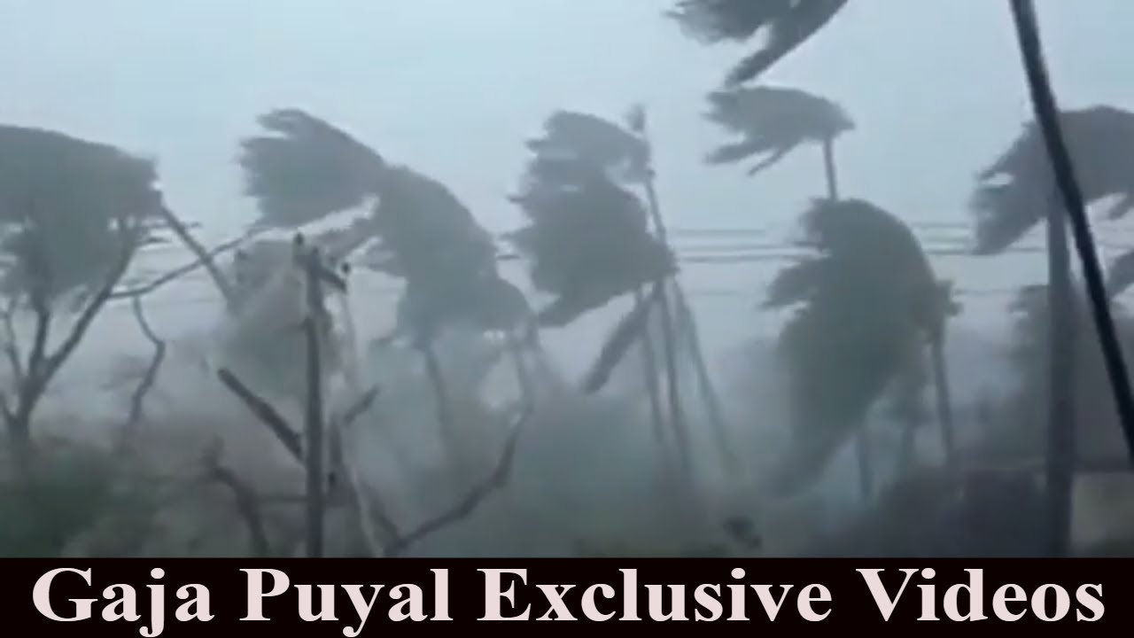 gaja cyclone live update exclusive video | new Updates and Cyclone ...