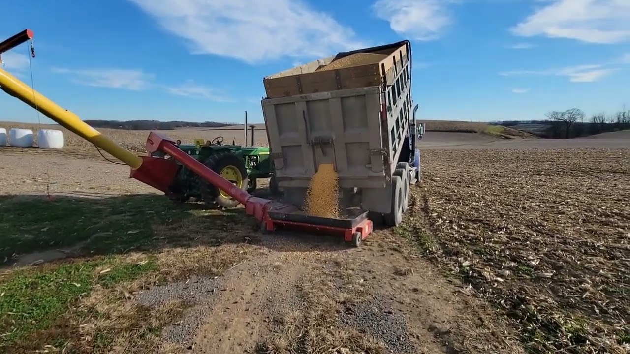 first time drying organic corn - YouTube