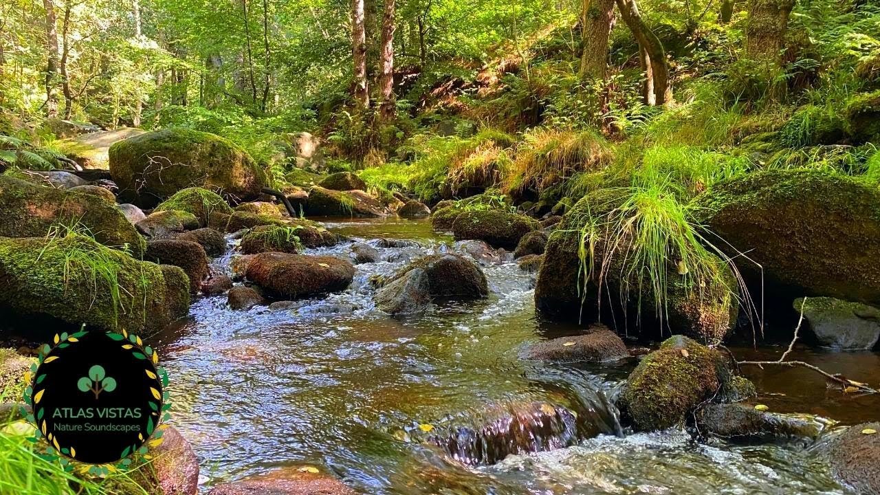 Beautiful River Flowing Sounds 4k. Trickling Water Sounds for Stress ...