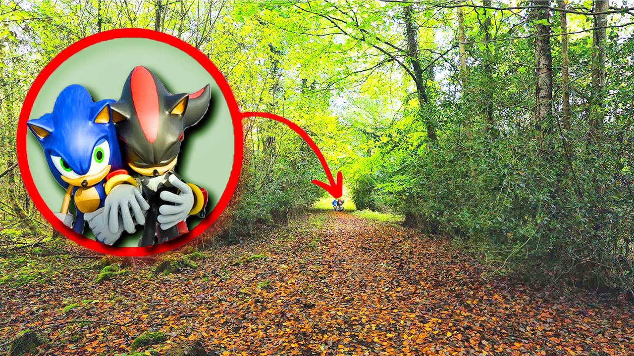 Gerçek Hayatta Shin Sonic ve Shin Shadow Tapes'in Başlangıç Hikayesi ...