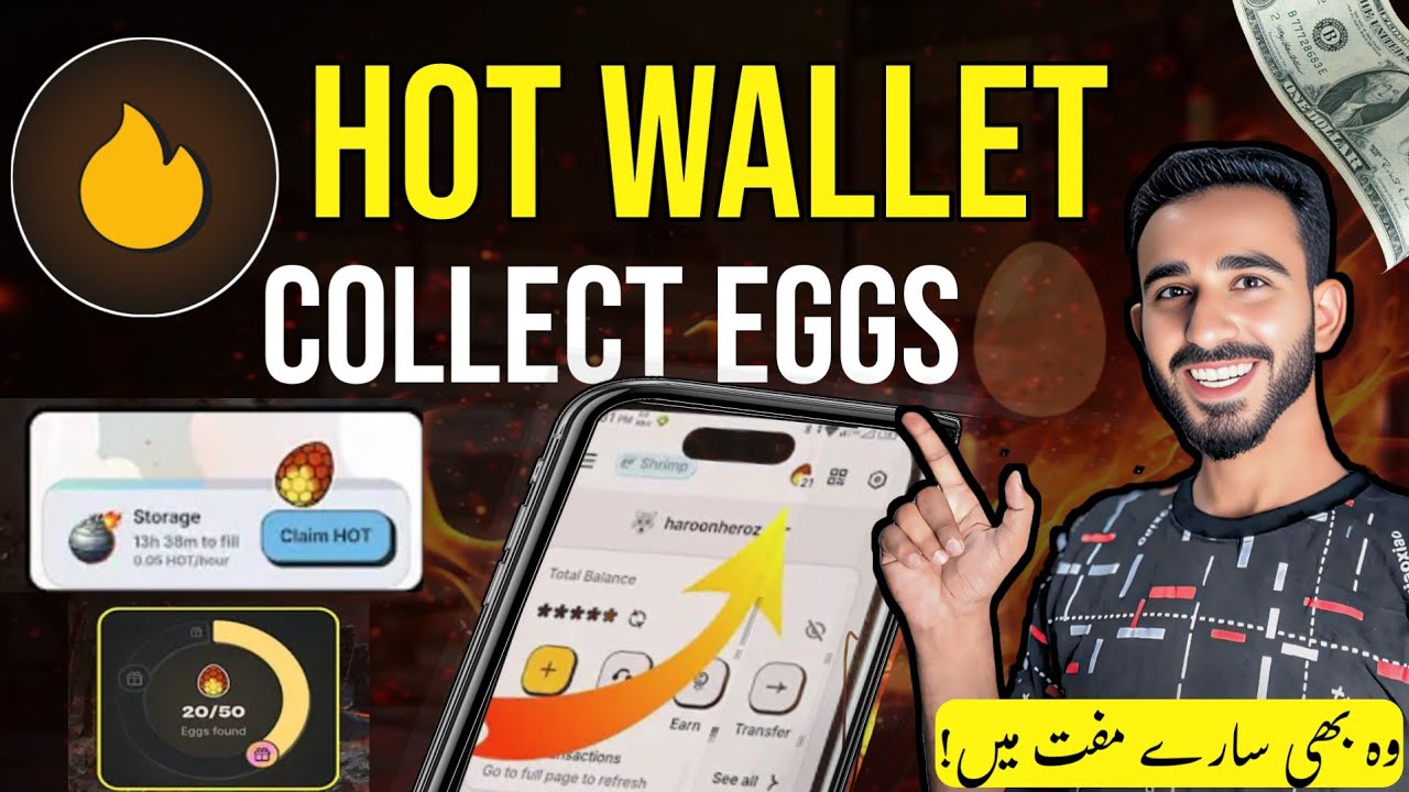 Hot Wallet | Collect Eggs | All Details - YouTube