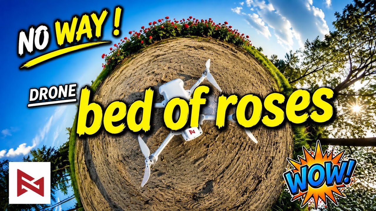 Rozen veld vanuit de lucht: insta360 x4 dronevideo sensatie - YouTube