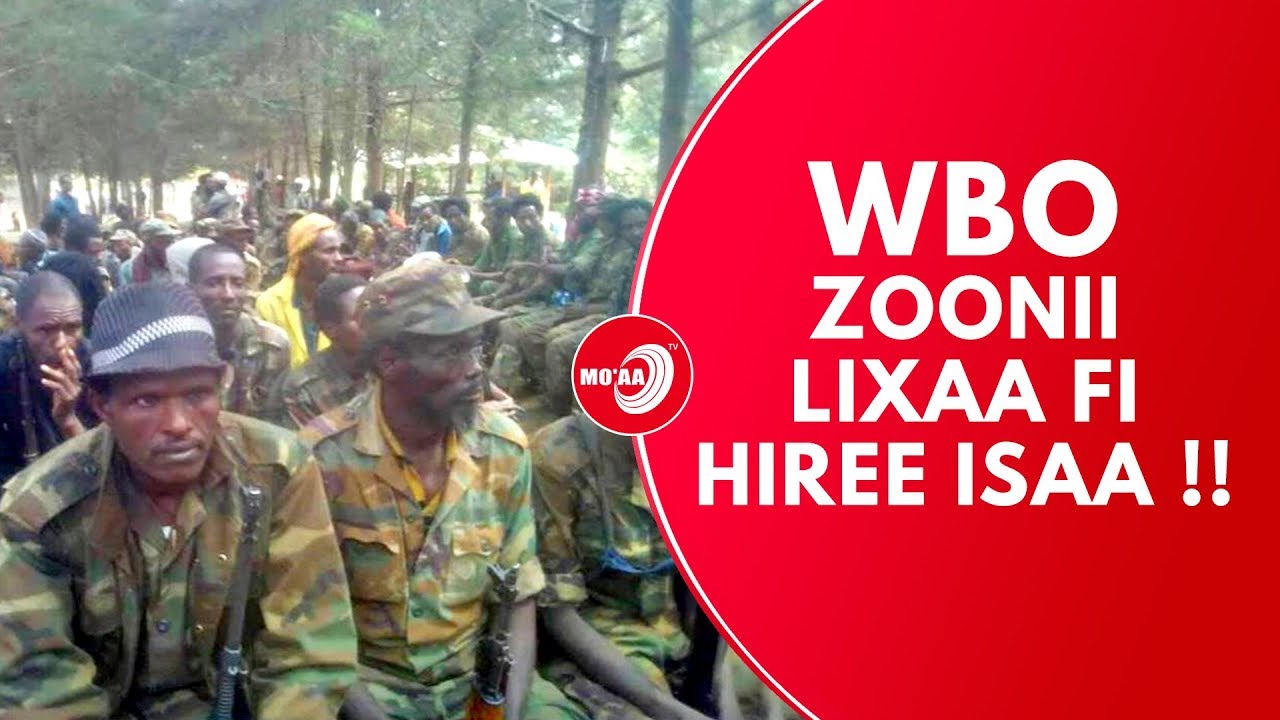 WBO ZOONII LIXAA FI HIREE ISAA | ODUU MO'AA TV FEBRUARY 20 2019 - YouTube