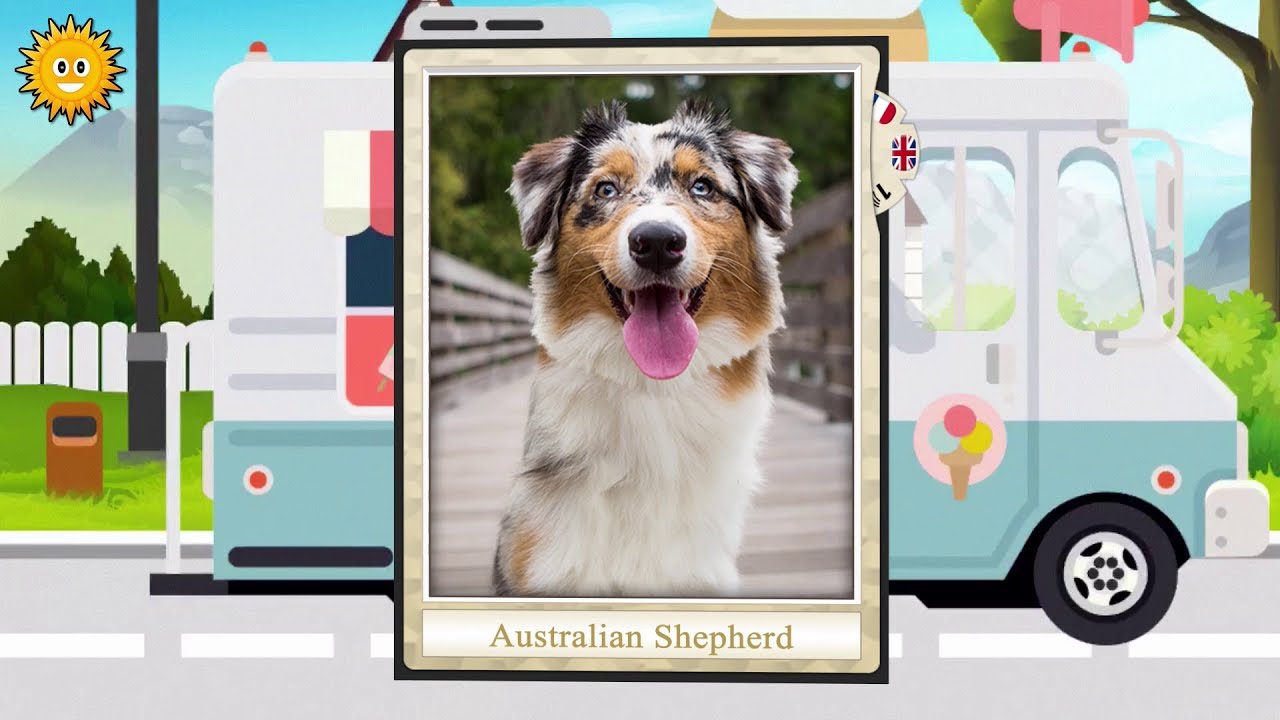 Find Them All: My Pets - YouTube