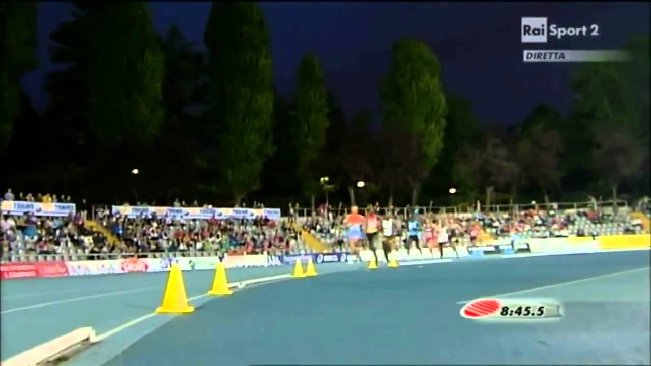 ATLETICA - Memorial Primo Nebiolo 2012 - 5000 metri M - YouTube