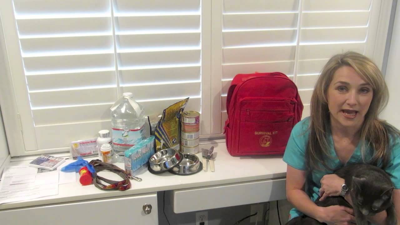 How to Make a Pet Disaster Kit - YouTube