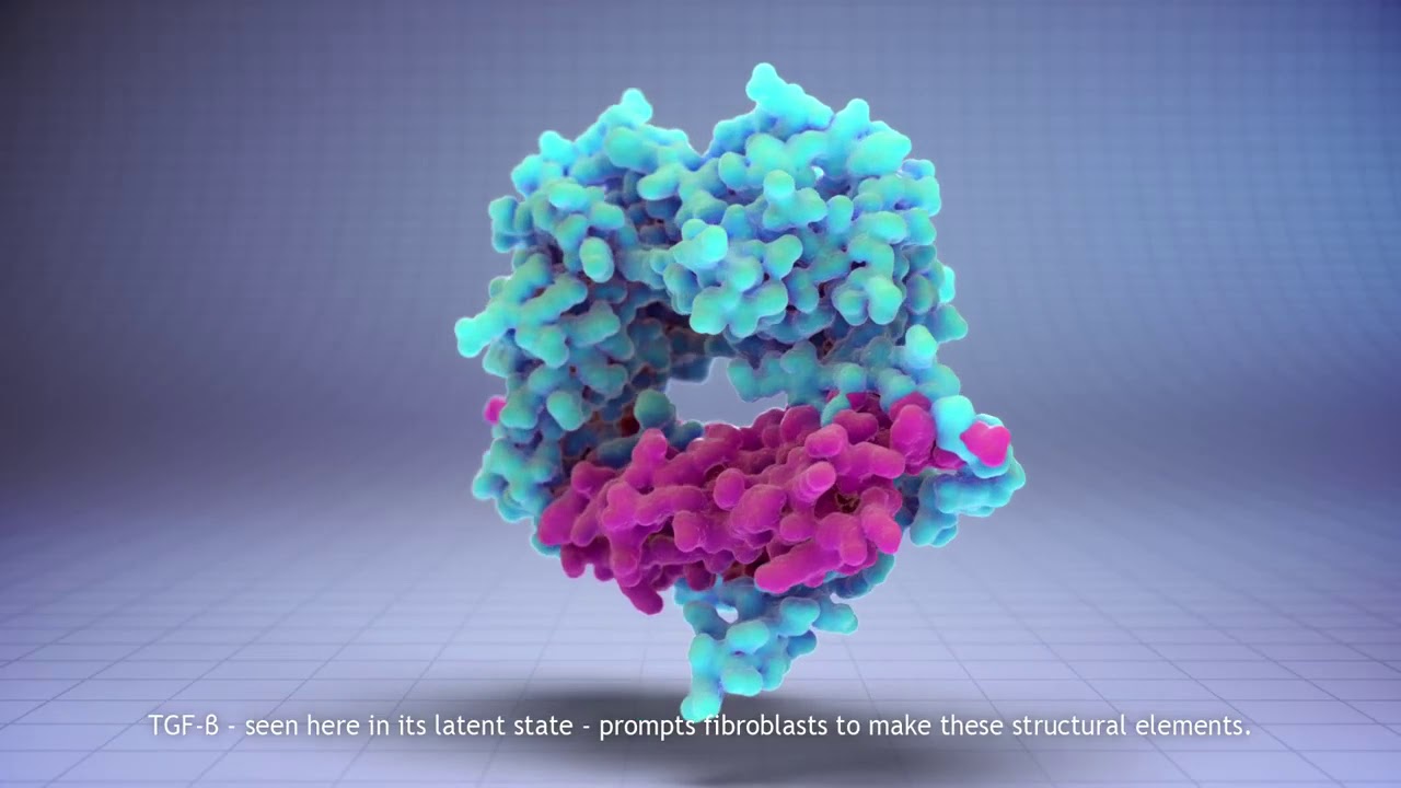 Syn-Coll Péptido anti-fotoenvejecimiento - DSM Personal Care - YouTube