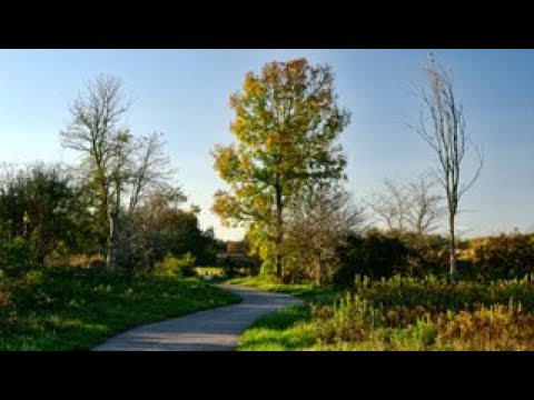 Walter Bean Trail RIM Park Fall Postcard, Waterloo Canada - YouTube