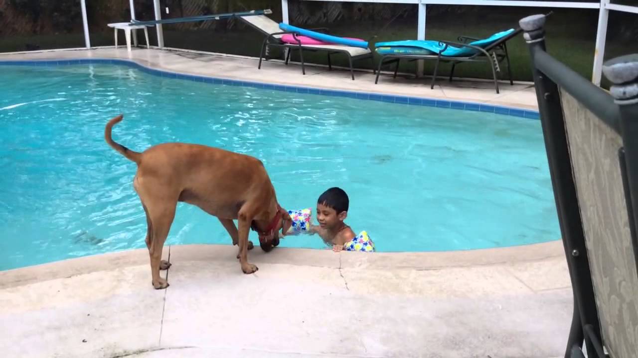 Gator wanting Miles to throw the ball - YouTube