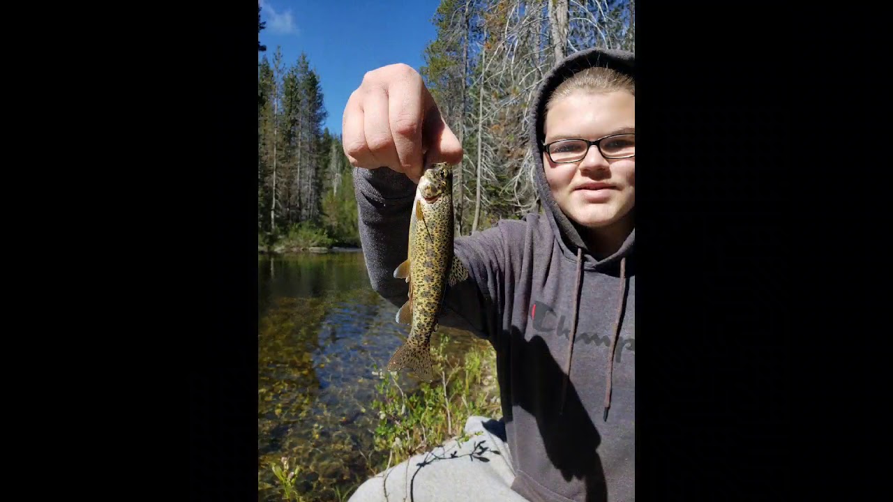 Native California trout fishing - YouTube