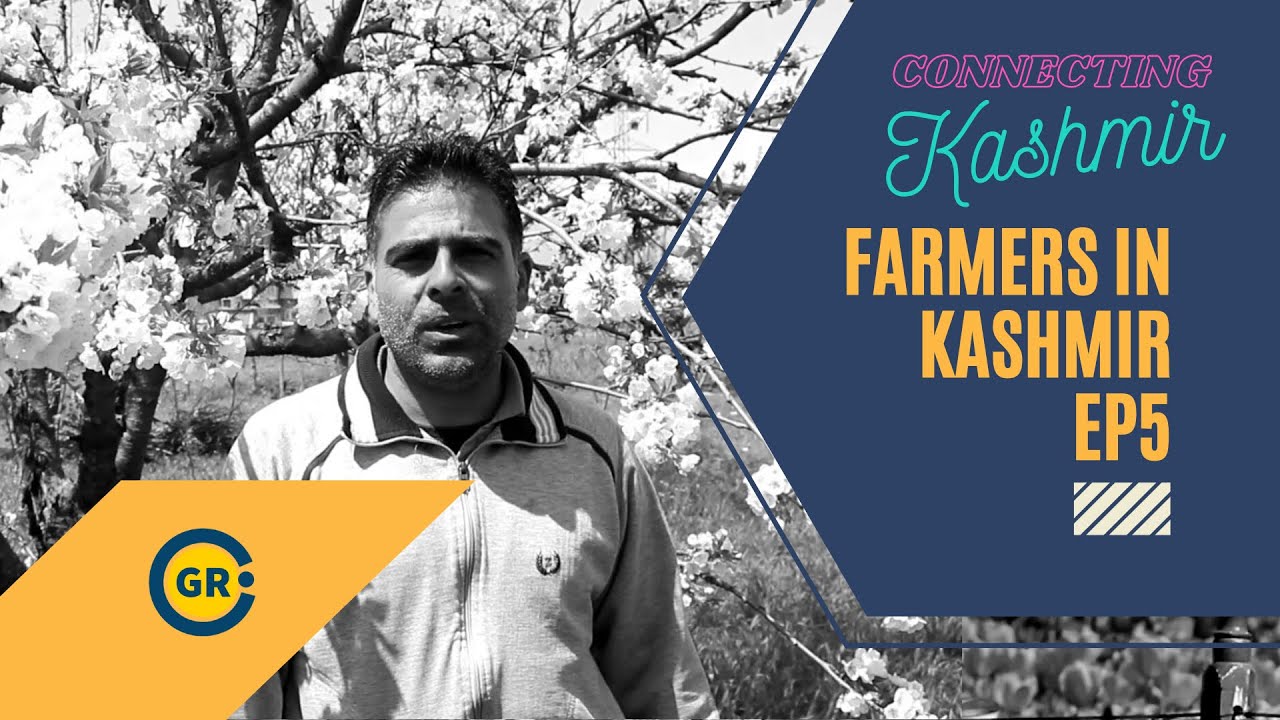 Connecting Kashmir Part-5 || Kesar Farming in Kashmir || Farmers in ...