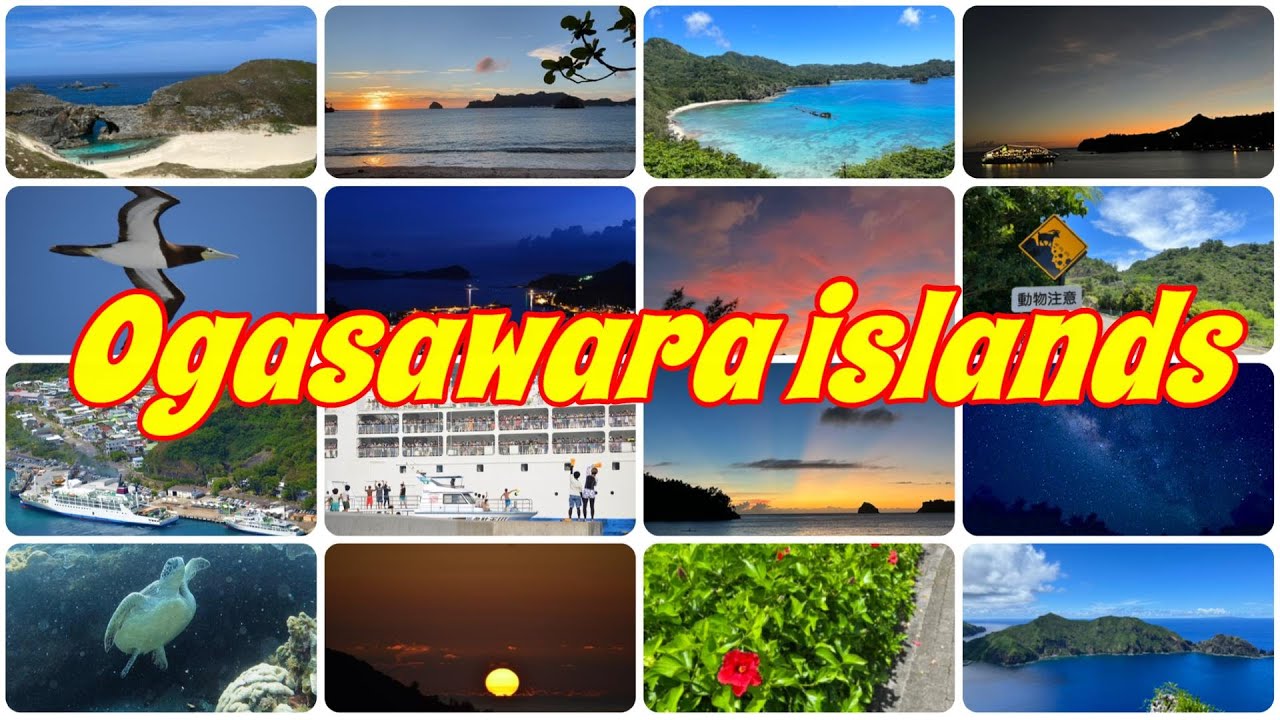【勝手にPR風】1分で楽しめる小笠原諸島 ～Ogasawara islands～ - YouTube
