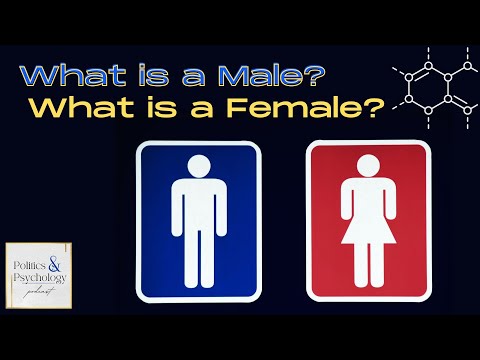 What is a Male? What is a Female? - YouTube