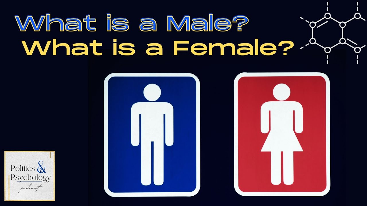 What is a Male? What is a Female? | Ep. 5 - YouTube
