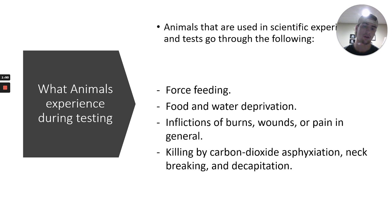 Why Animal Testing Is Wrong YouTube why-animal-testing-is-wrong-youtube