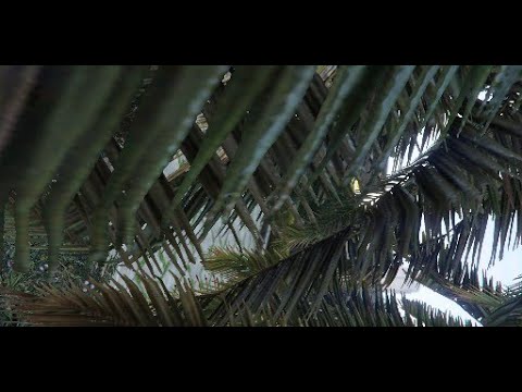 Project 86* - YouTube