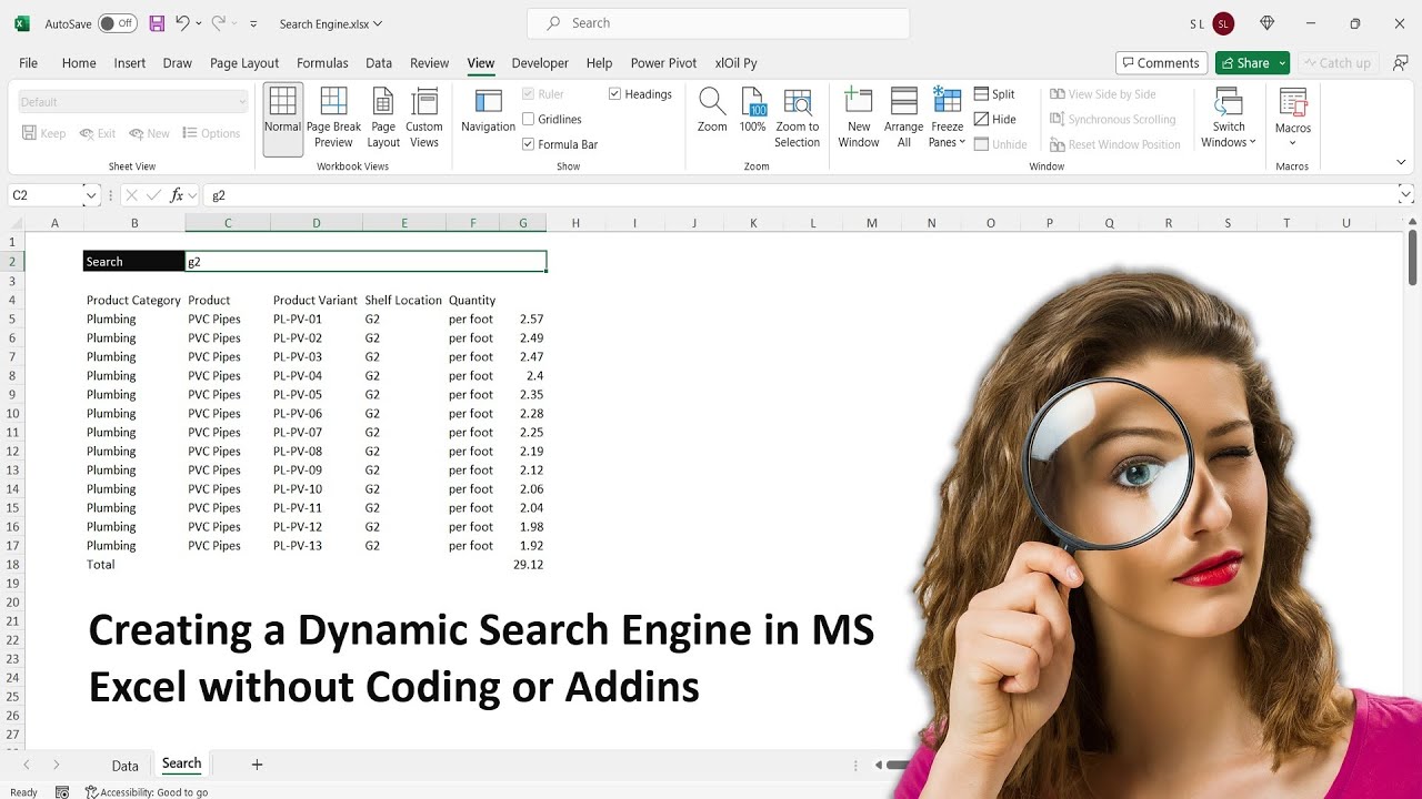 MS Excel: Creating a Dynamic Search Engine in MS Excel without Coding ...