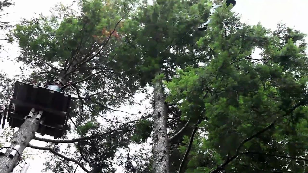 Sutton Tree Outdoor Adventure - Québec, Canada - YouTube