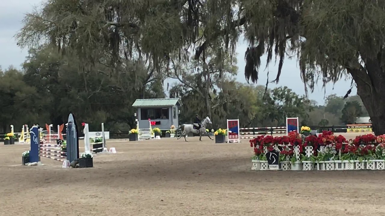 The Zebrasaurus show jumping 1.10m 2 21 2020 - YouTube