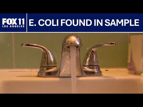 E. coli found in Koreatown water sample