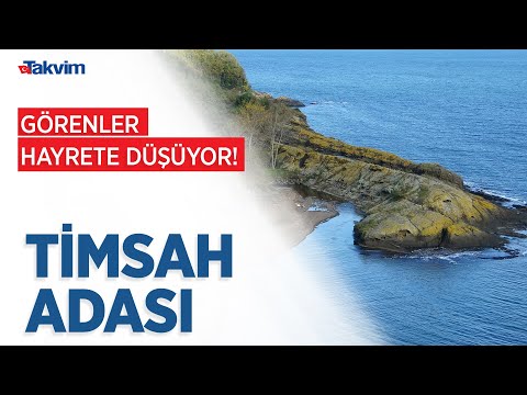 Timsah Adası! Görenler hayrete düşüyor