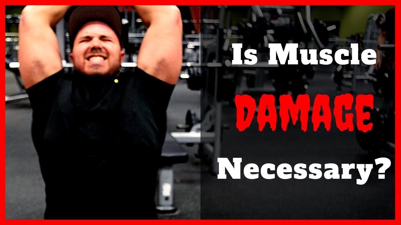 Is Muscle Damage Needed to Build Muscle? - YouTube