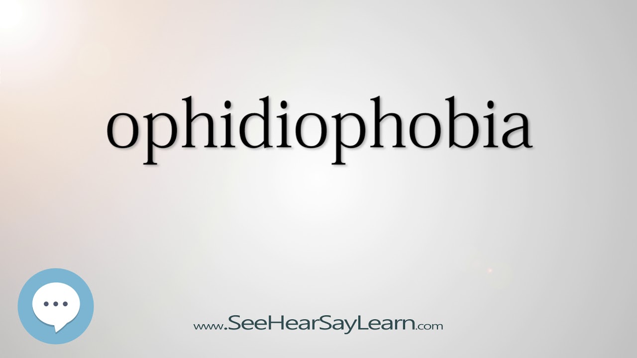 ophidiophobia - Smart & Obscure English Words Defined 👁️🔊🗣🧠 - YouTube
