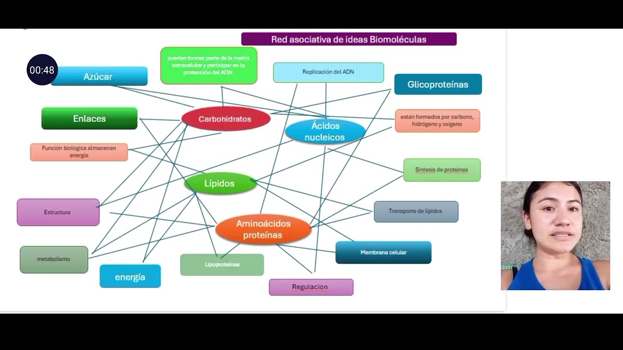 Red asociativa de ideas - YouTube