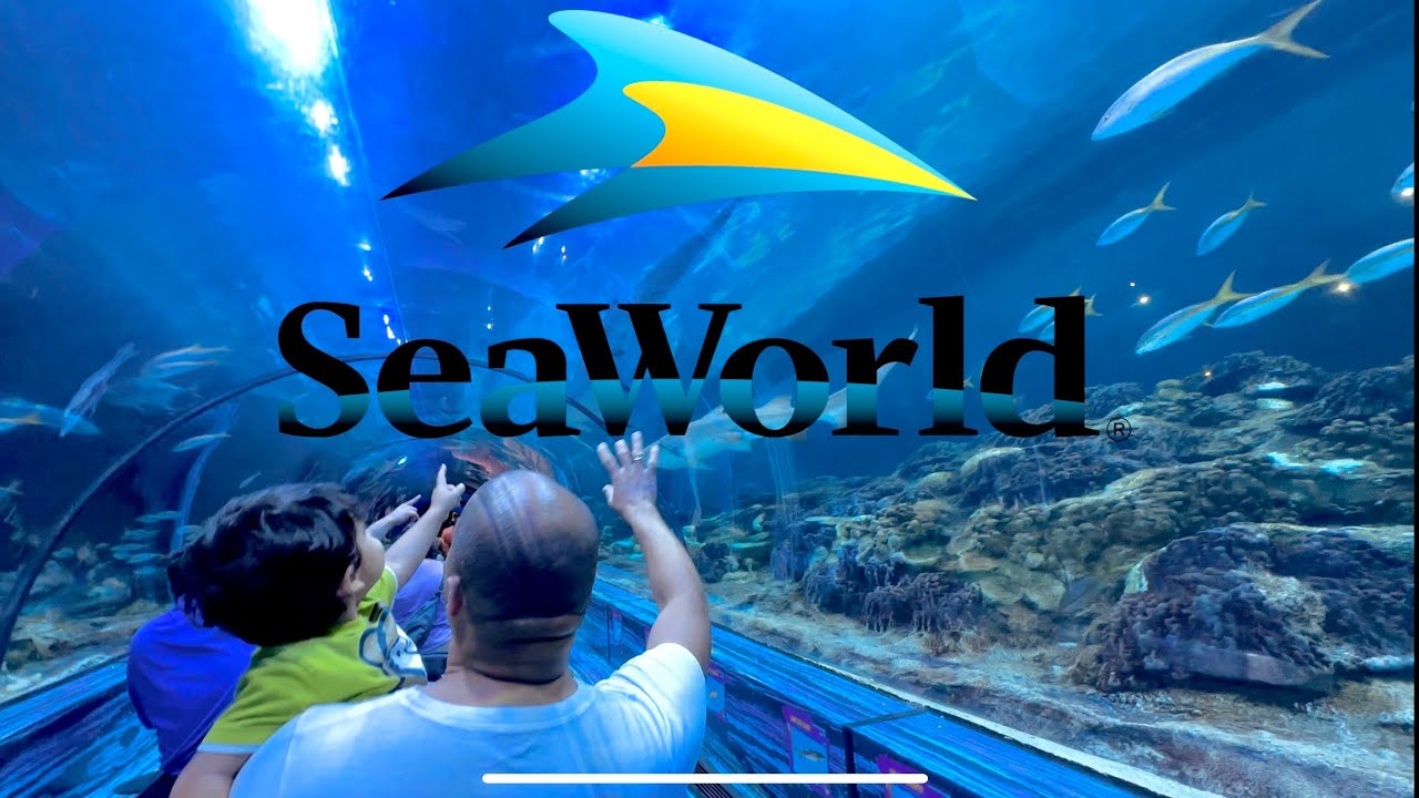 Tour completo pelo SeaWorld Orlando - YouTube